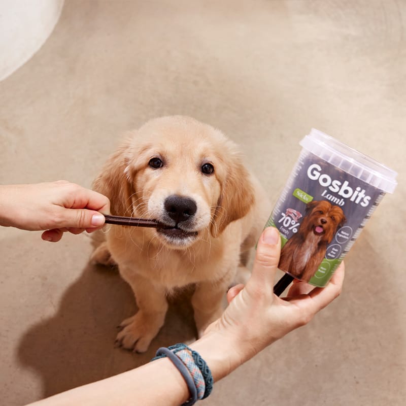 Gosbits Snack perro sin cereales con cordero Sticks